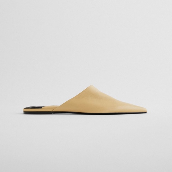 Zara | Shoes | Nwt Zara Low Heeled Pointed Toe Leather Mules | Poshmark